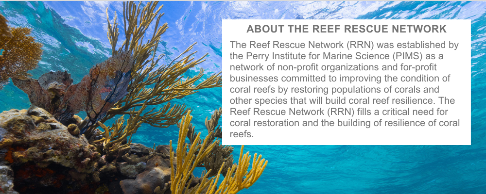Reef Rescue Network — International Field Studies, Inc.