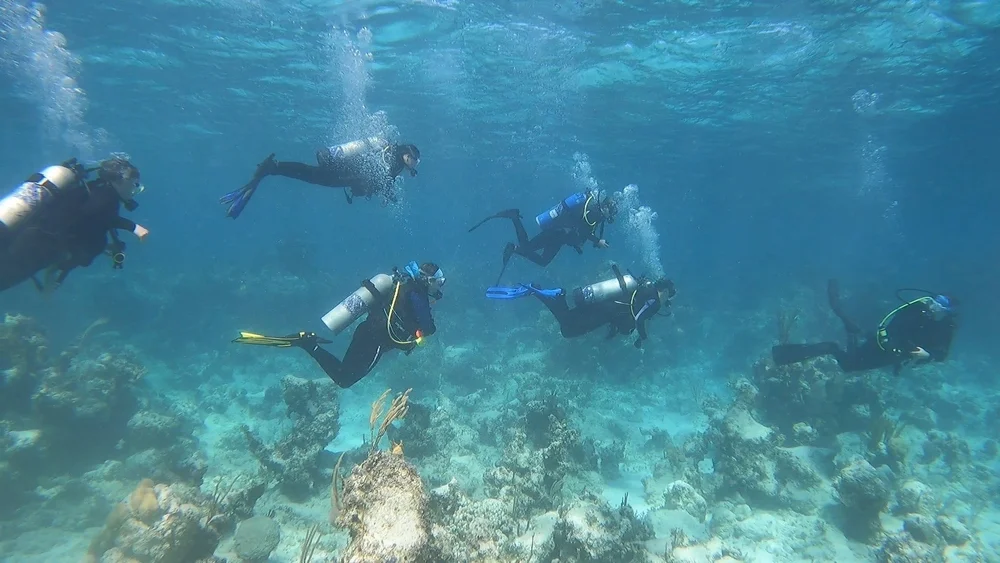 Educational Trips For Students — International Field Studies, Inc.