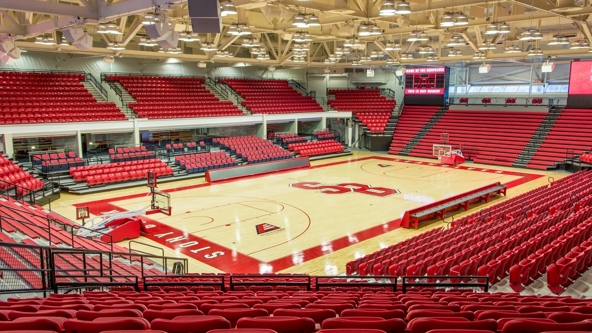 Stony Brook Arena — Fortunato