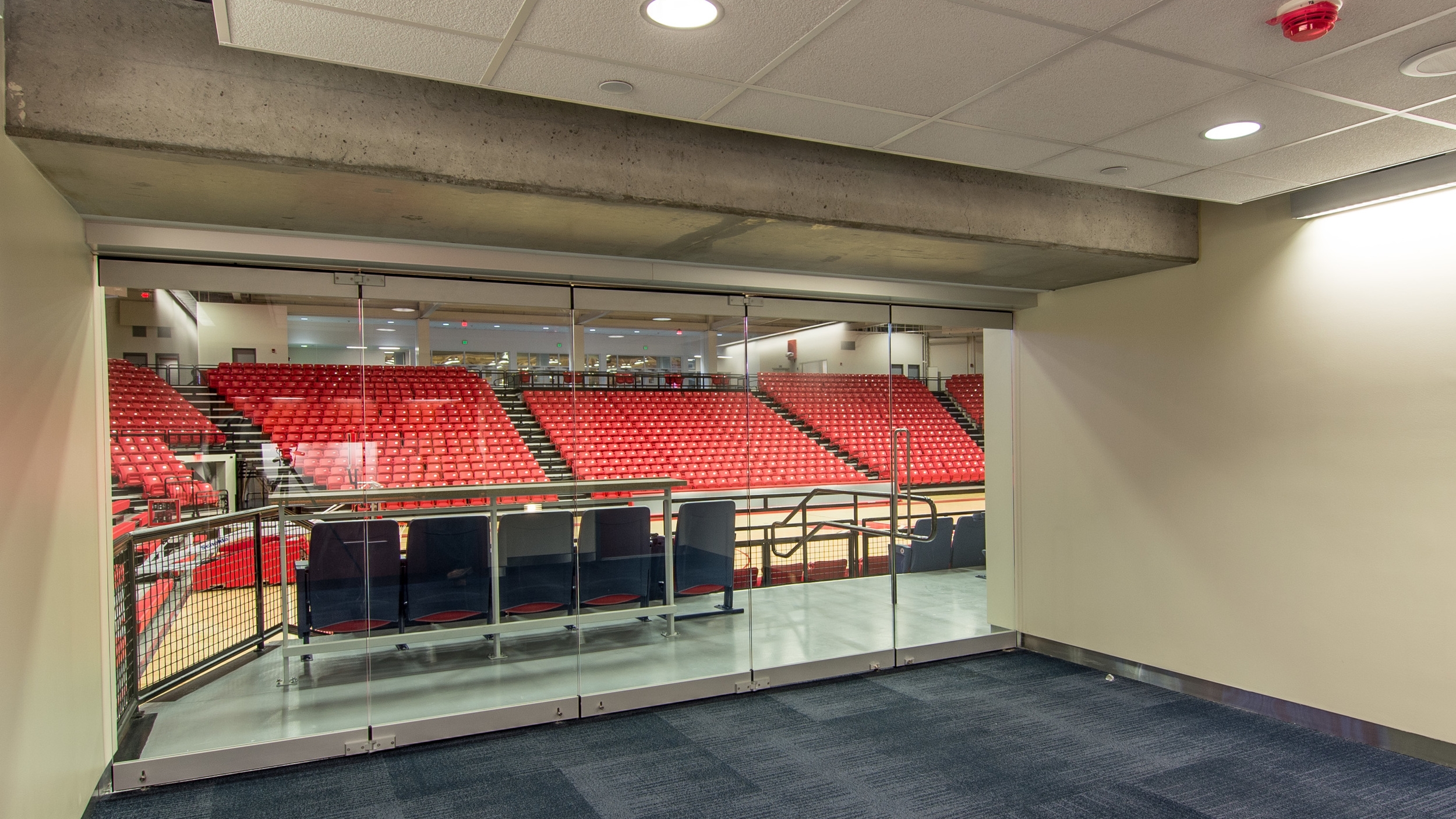 Stony Brook Arena — Fortunato