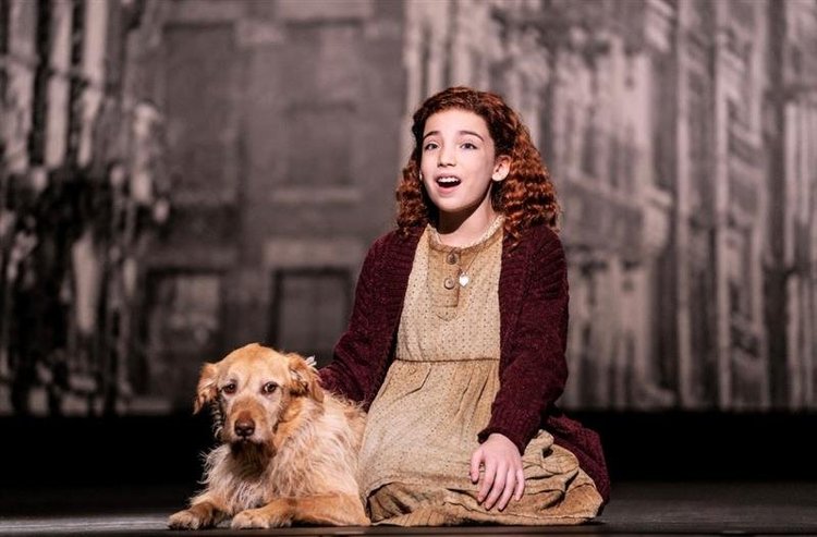 How Rescue Dogs Are Trained to Play Sandy in Annie — Walton Arts Center