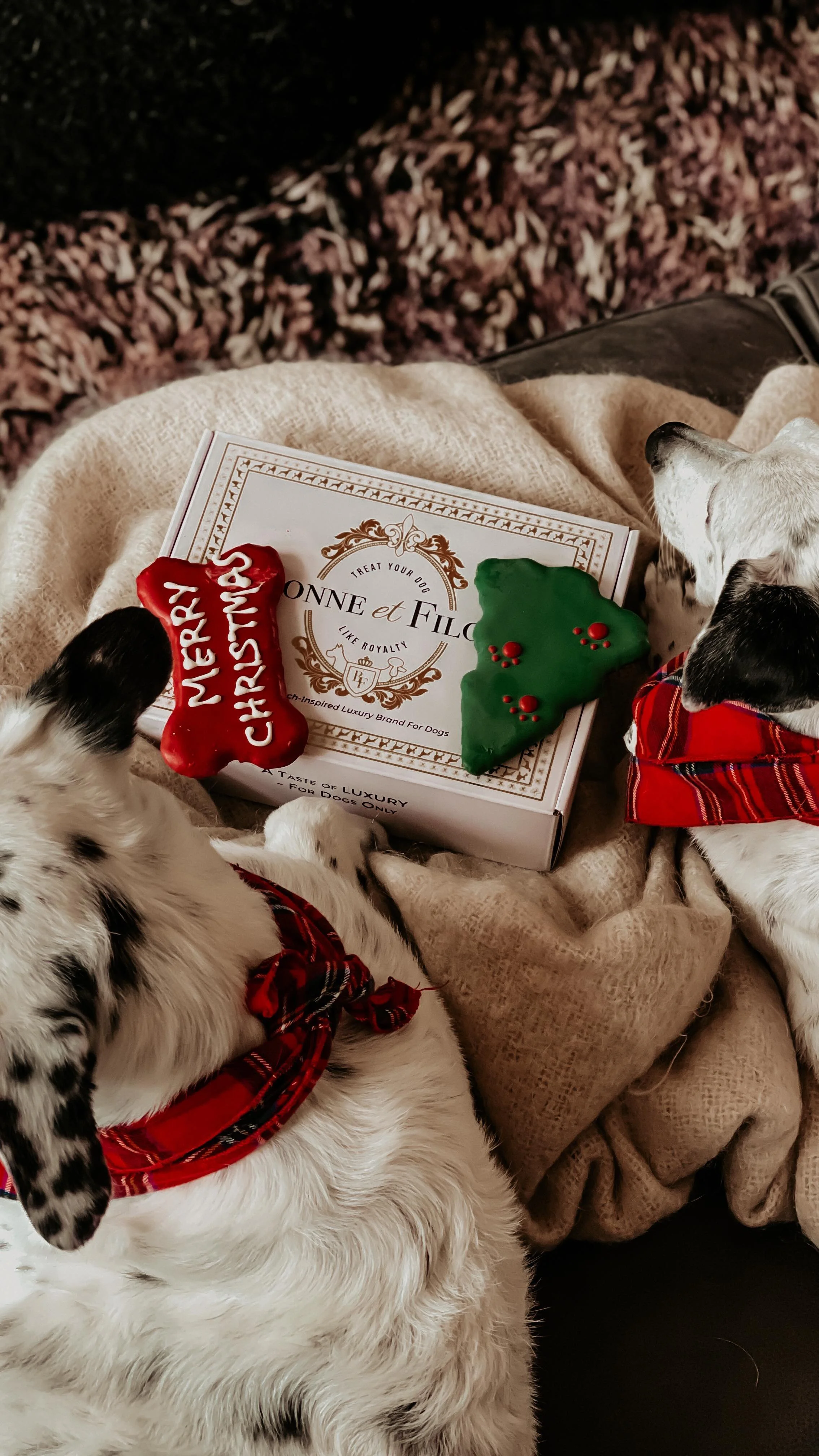 Netflix For The Francophile Featuring France Channel — Go French Yourself