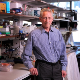 Current members — Nathan lab