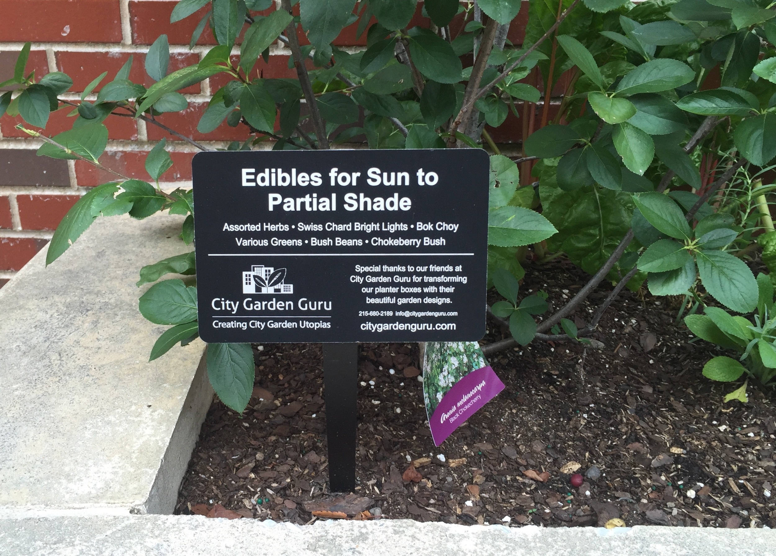 Greater Philly Community Garden Projects | City Garden Guru