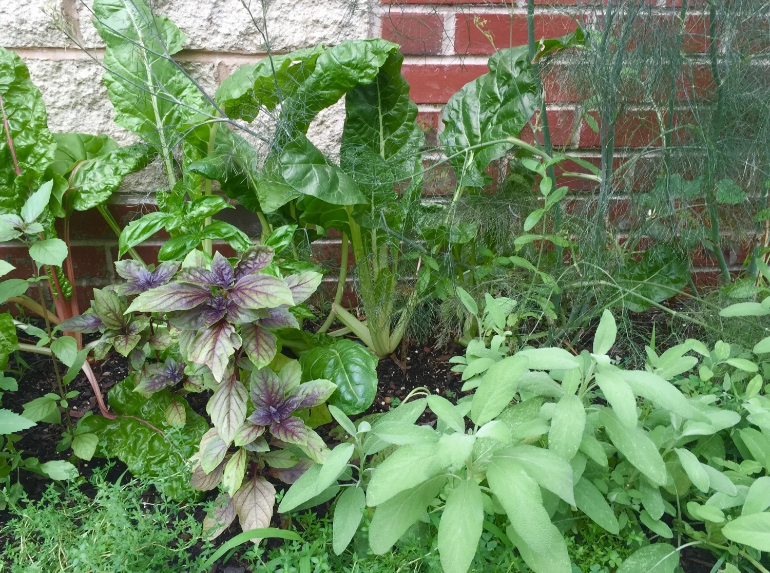 Greater Philly Community Garden Projects | City Garden Guru