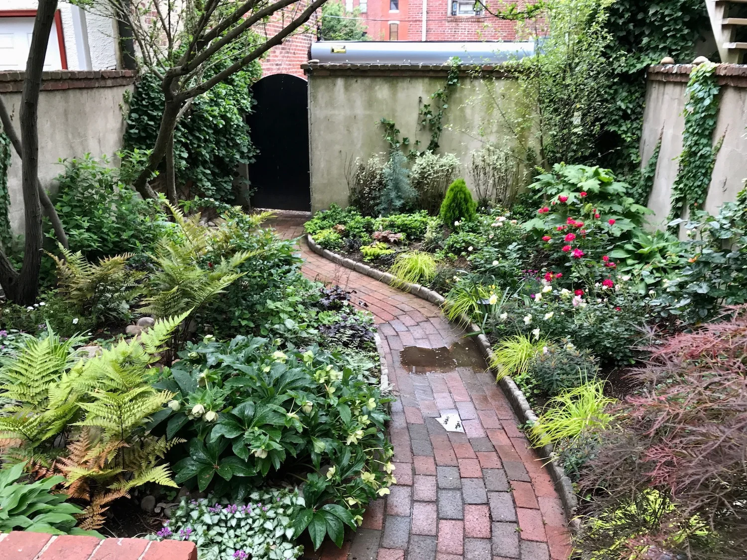 Before & After Container Planting Gallery | Philadelphia | City Garden Guru