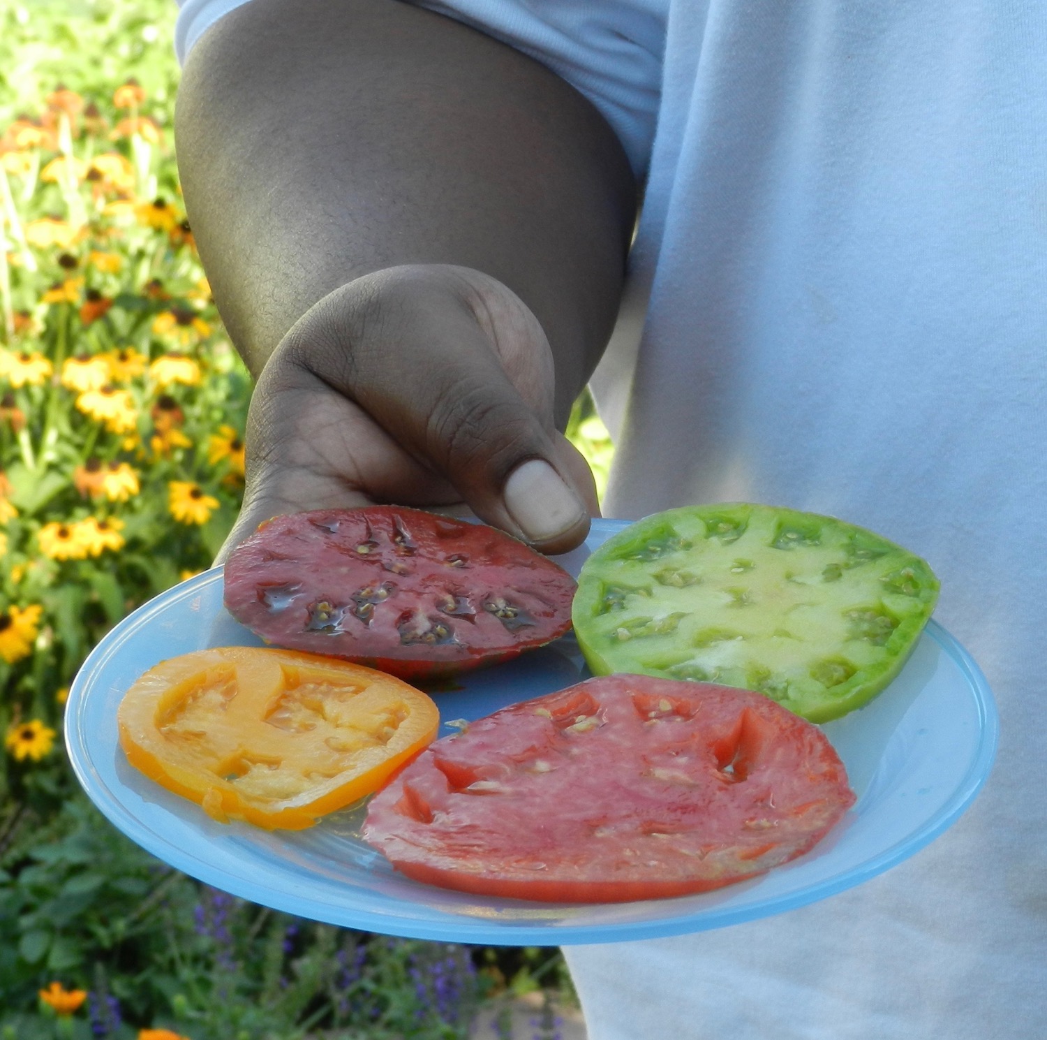 Greater Philly Community Garden Projects | City Garden Guru