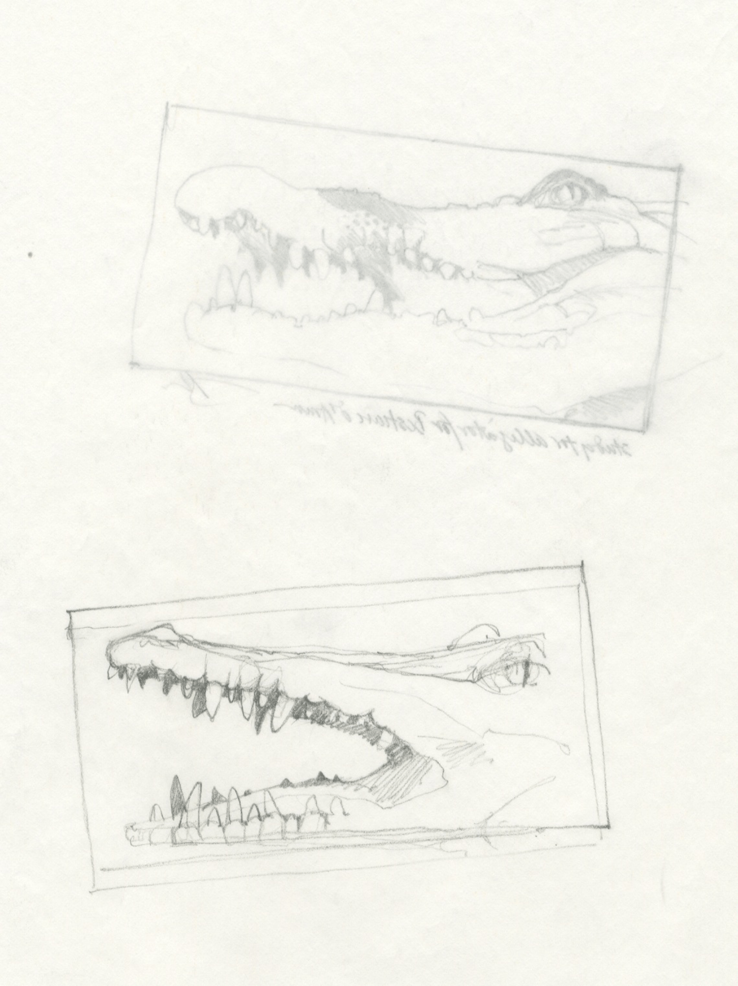 Drawings — Barry Moser—Pennyroyal Press