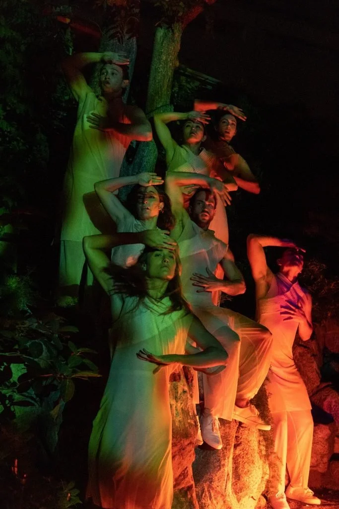 seed — Caroline Marks Studio