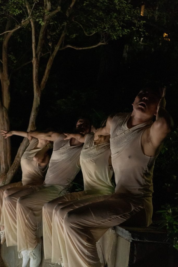 seed — Caroline Marks Studio