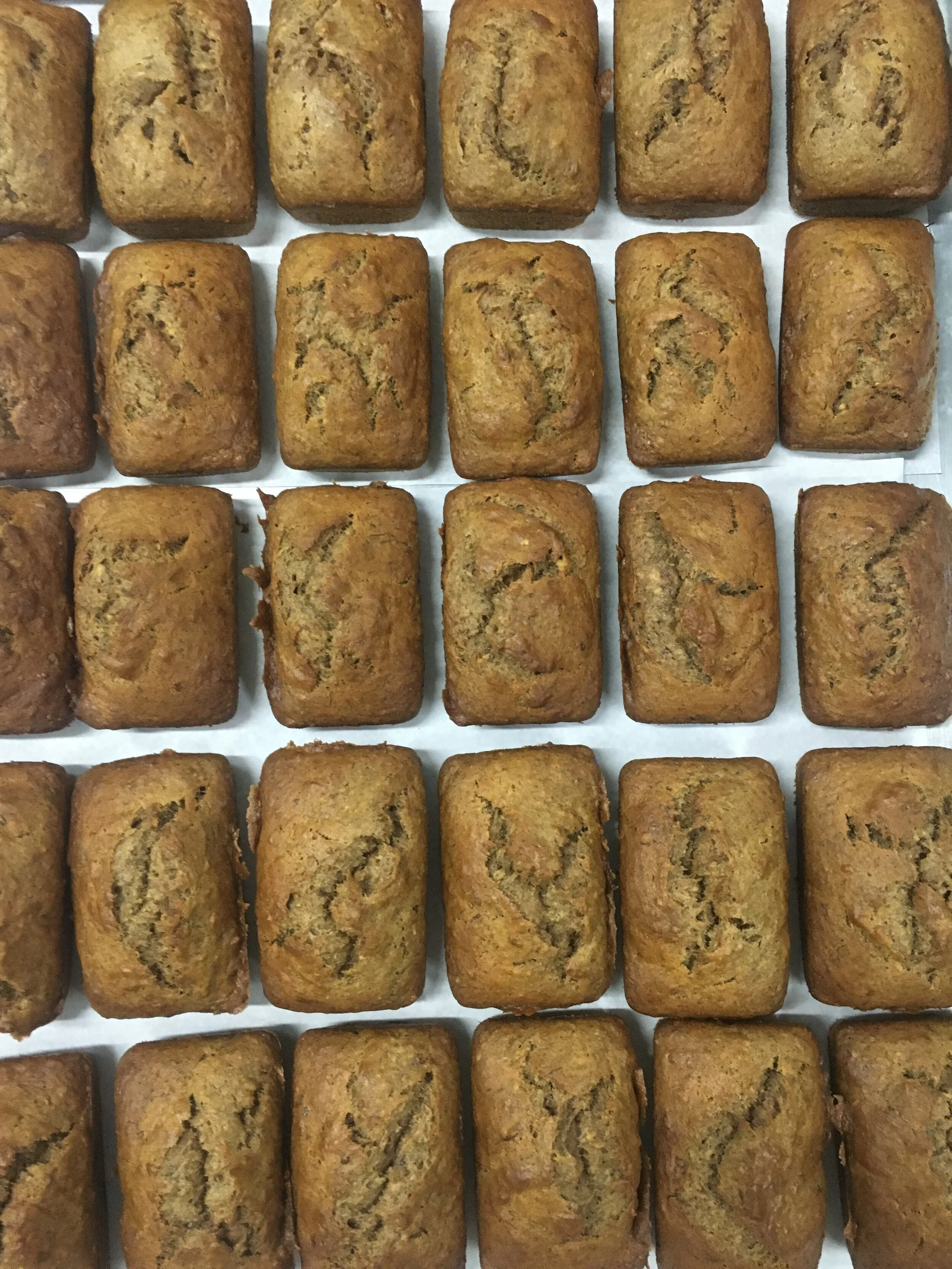 DANK BREAD! — Dank