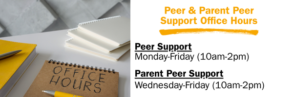 Peer Support Services — NAMI Dane County