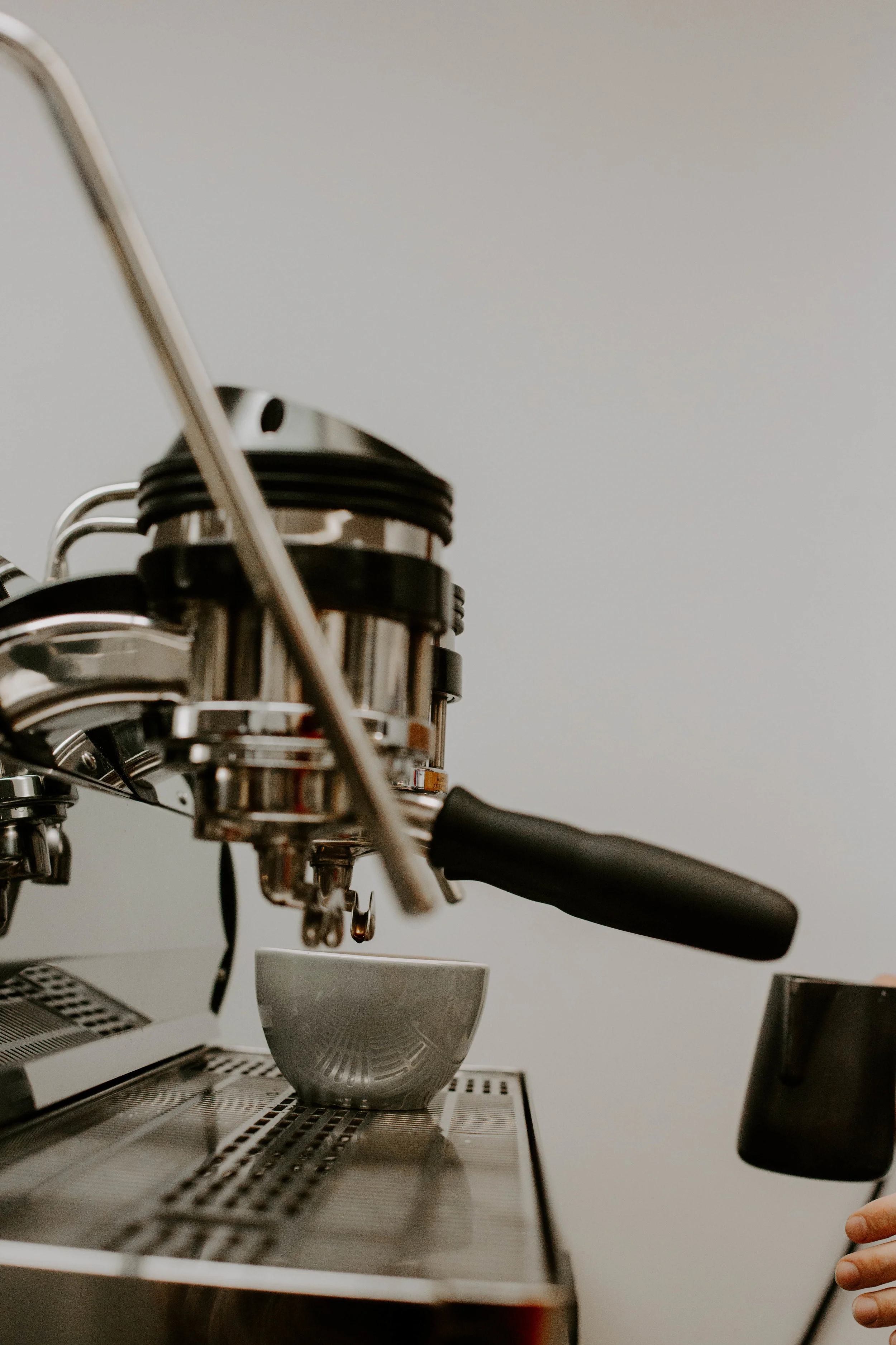 Wholesale — Creation Coffee