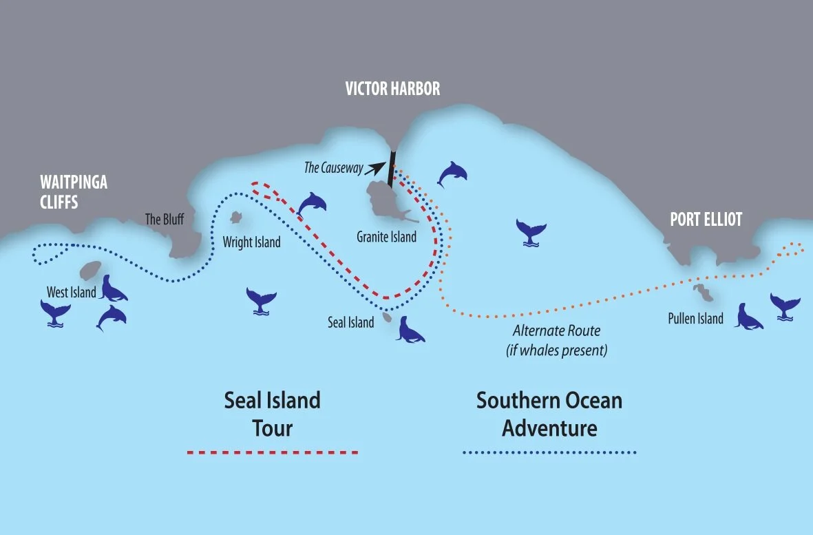 Southern Ocean Adventure Tour | Victor Harbor Wildlife Boat Tours | The ...