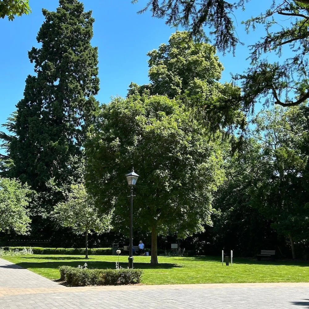 Marlow — Duck Pond Market
