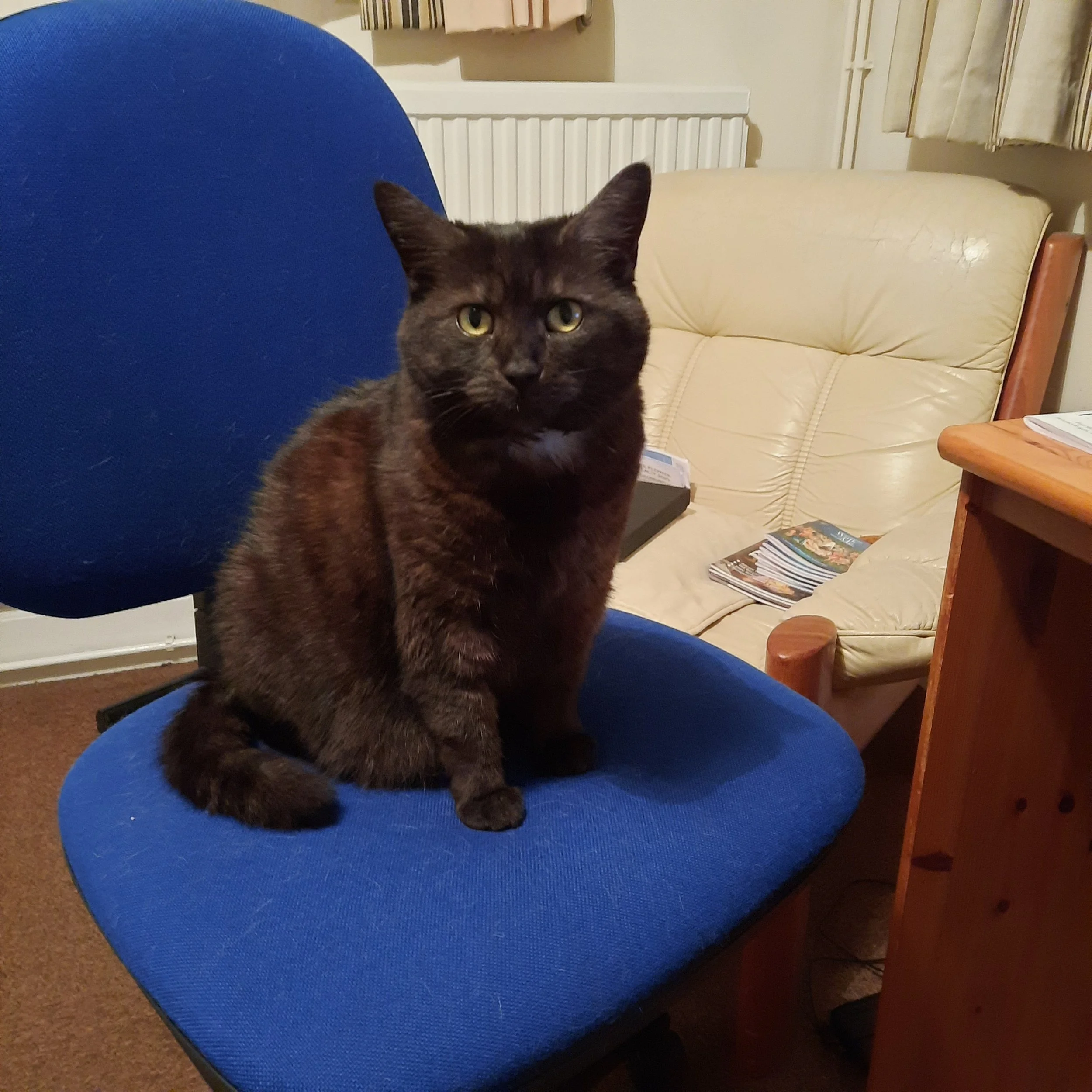 Ethel — Our Lady and St Thomas of Canterbury, Wymondham.