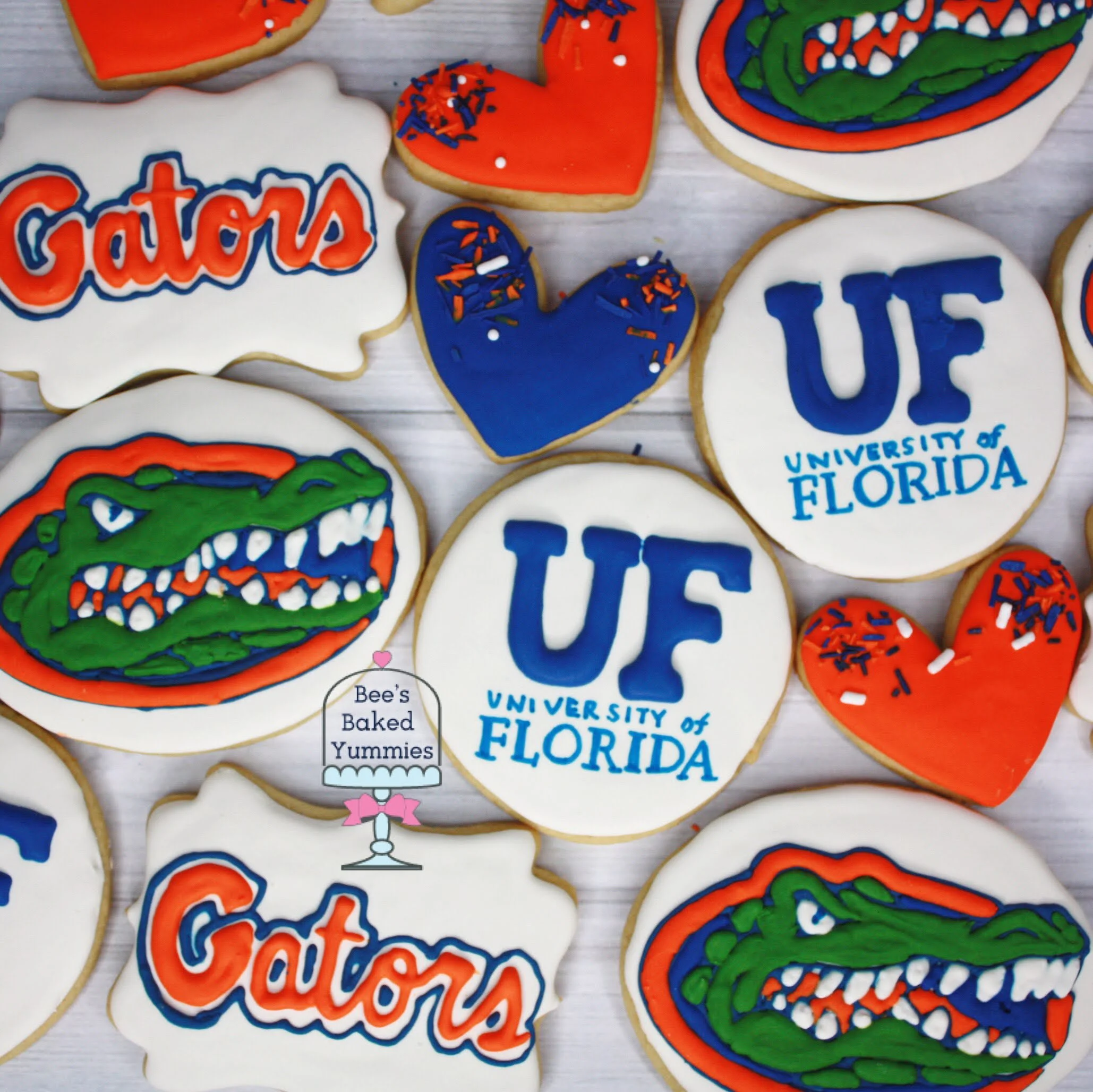 Decorated Cookies in Orlando, FL — Bee's Baked Yummies