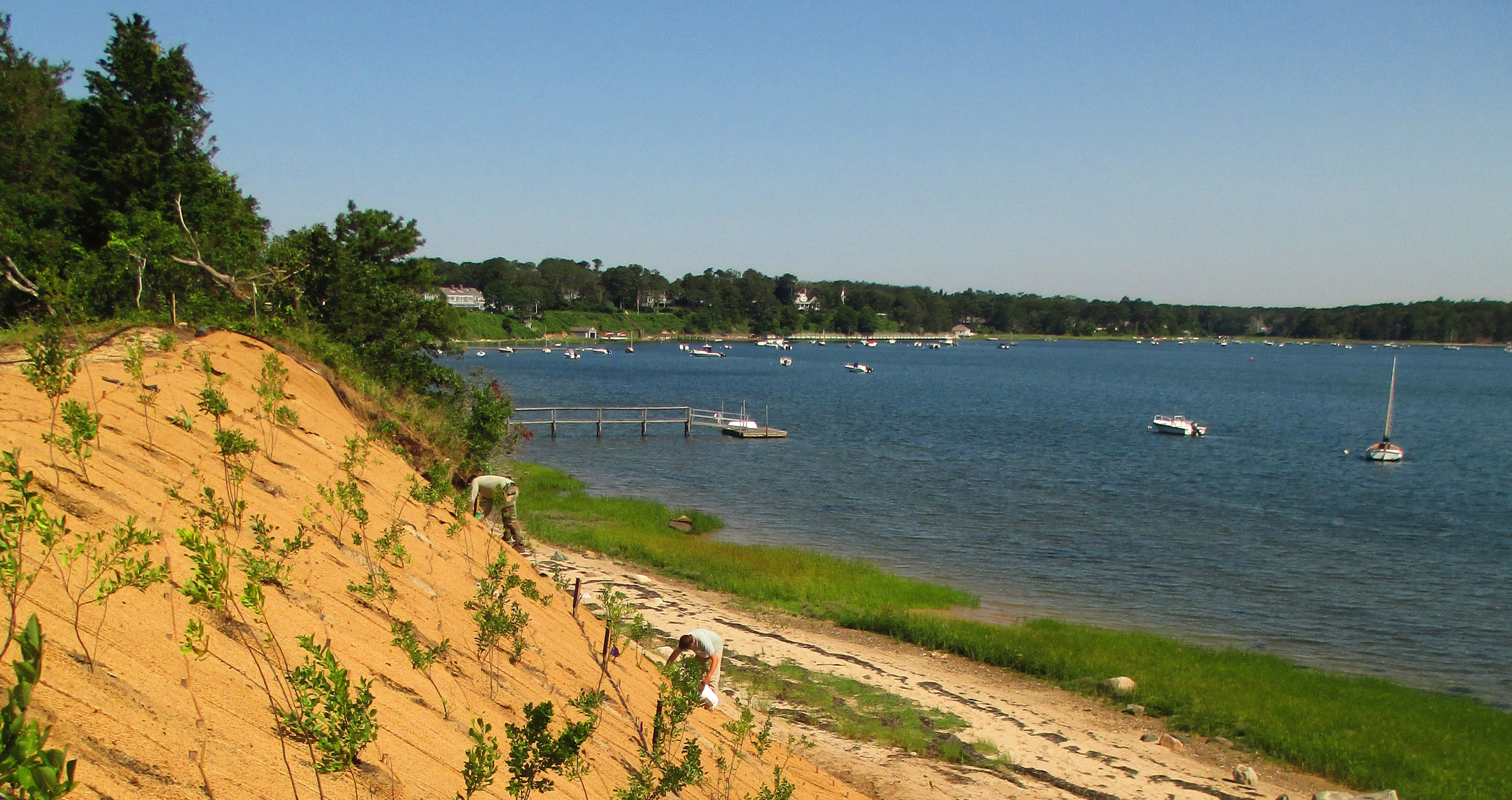 Wilkinson Ecological