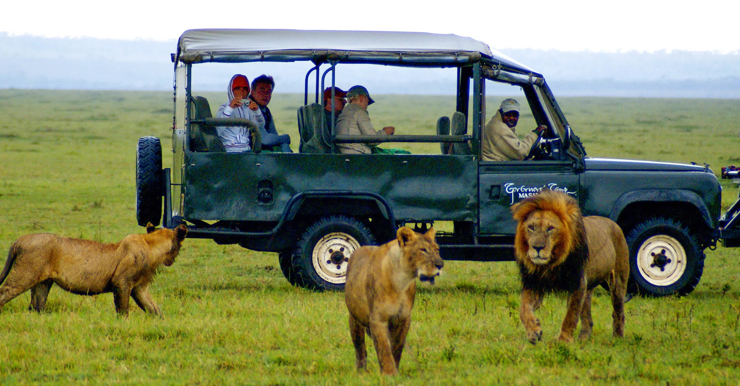 Upcoming — Cat's Simba Safaris