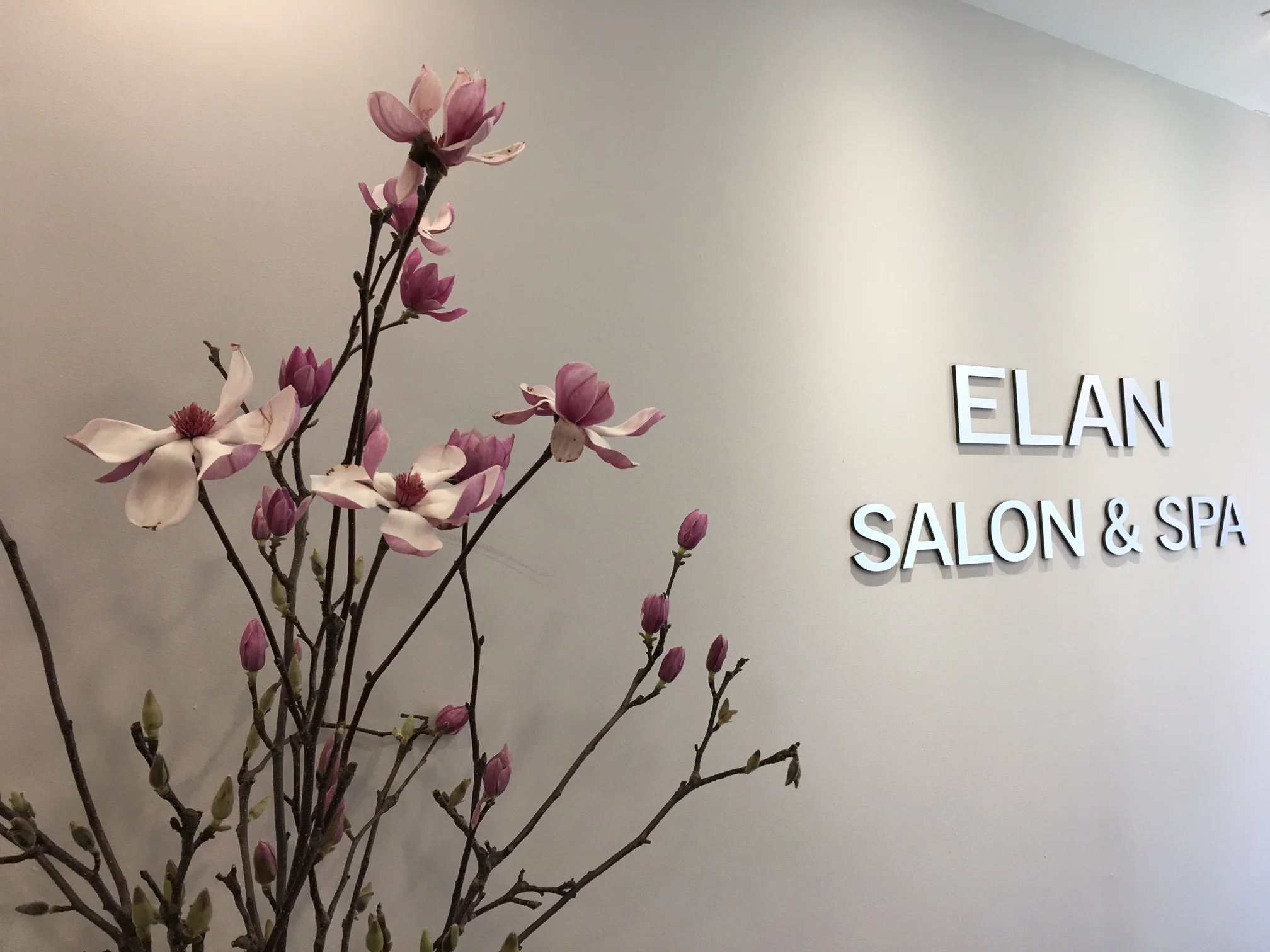 Services — Elan Salon & Spa