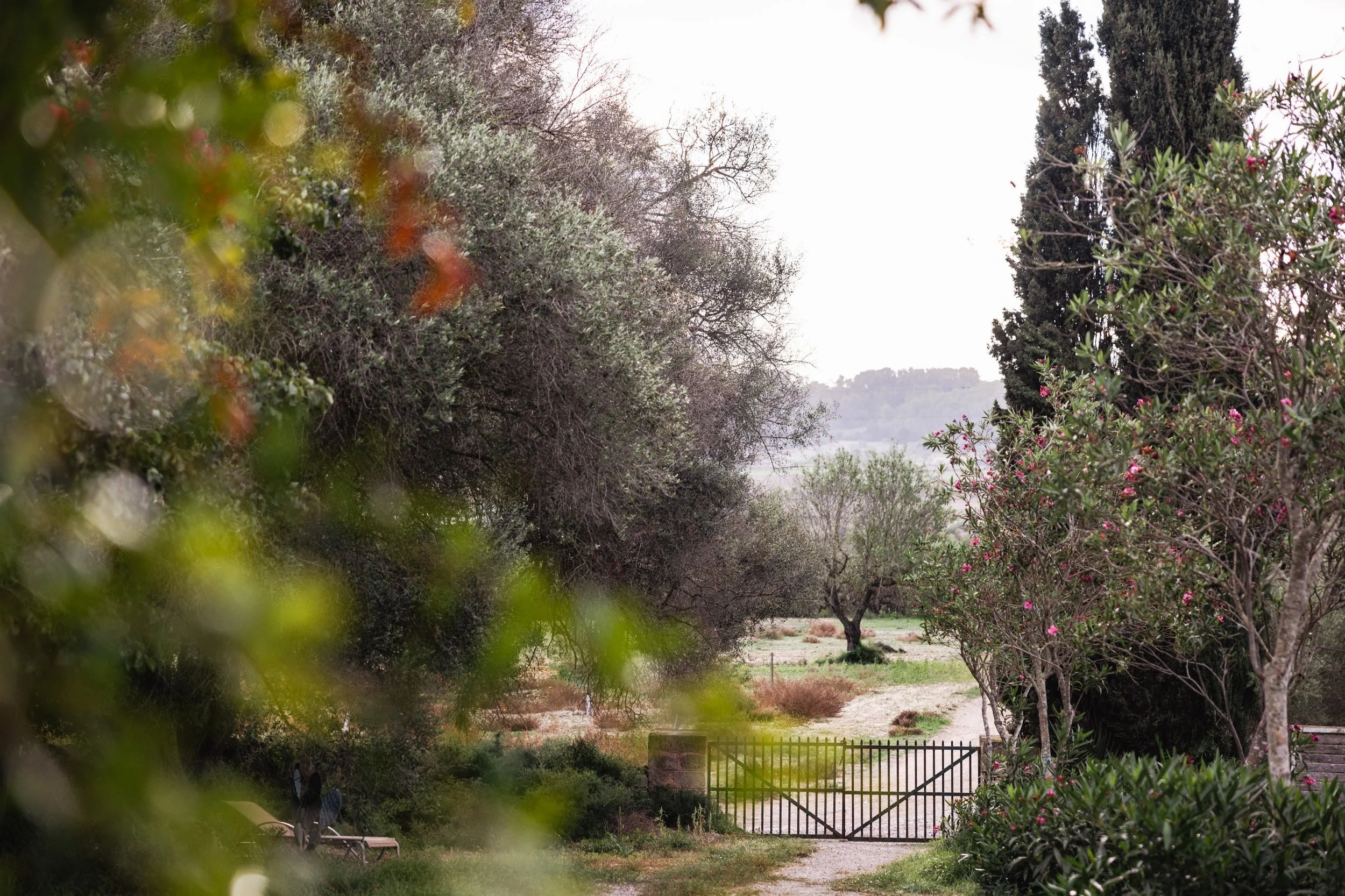 6 - Conscious Communication — Cellular Transformation - Jennifer Millar