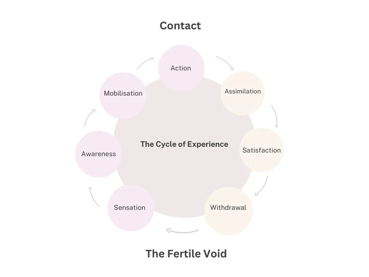 The Cycle of Experience — Kate Merrick