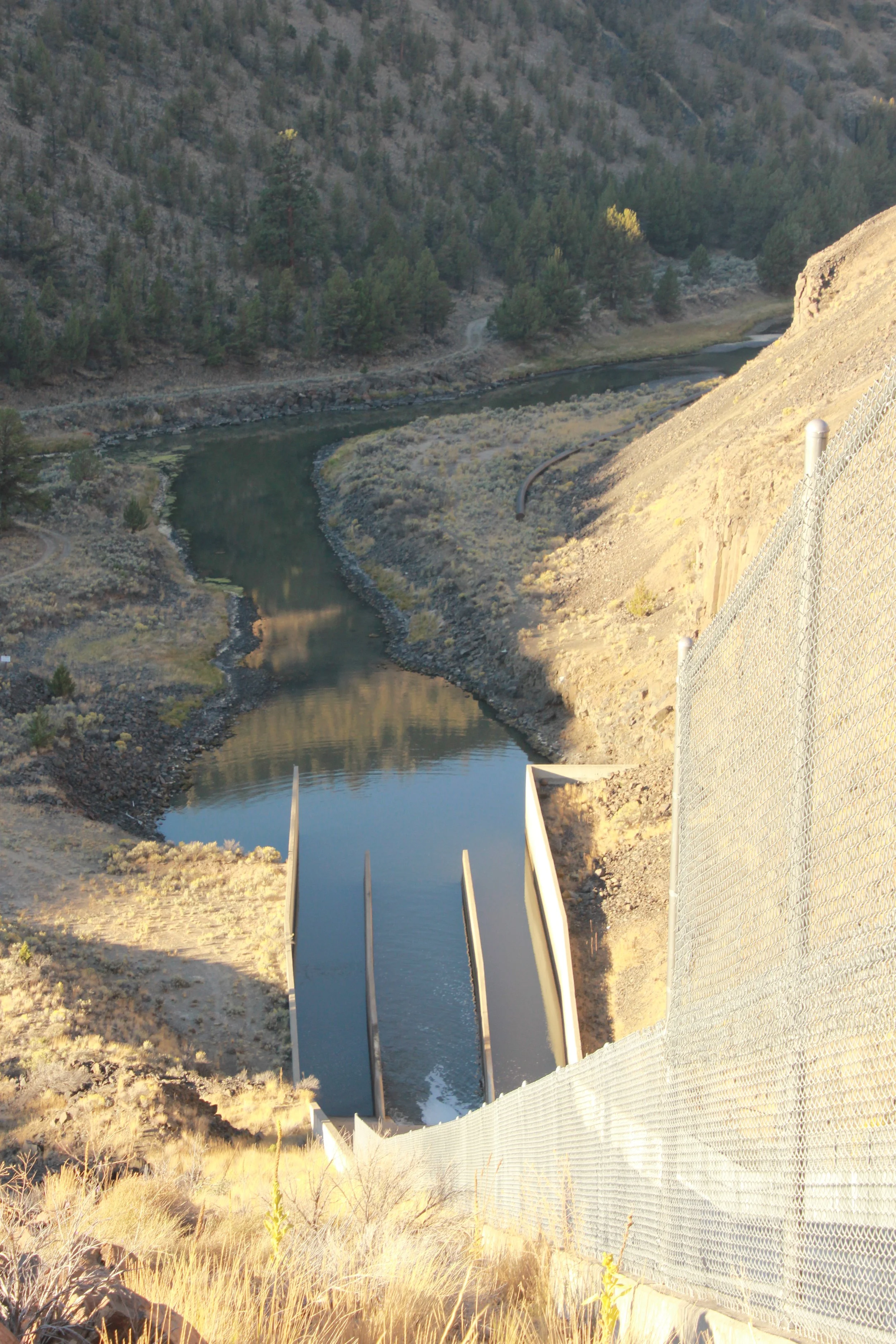 Crooked River | Support Water & Wildlife Conservation — Central Oregon ...