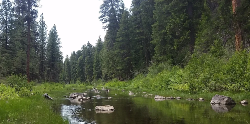 Press Release: Victory in the Ochoco National Forest! — Central Oregon ...