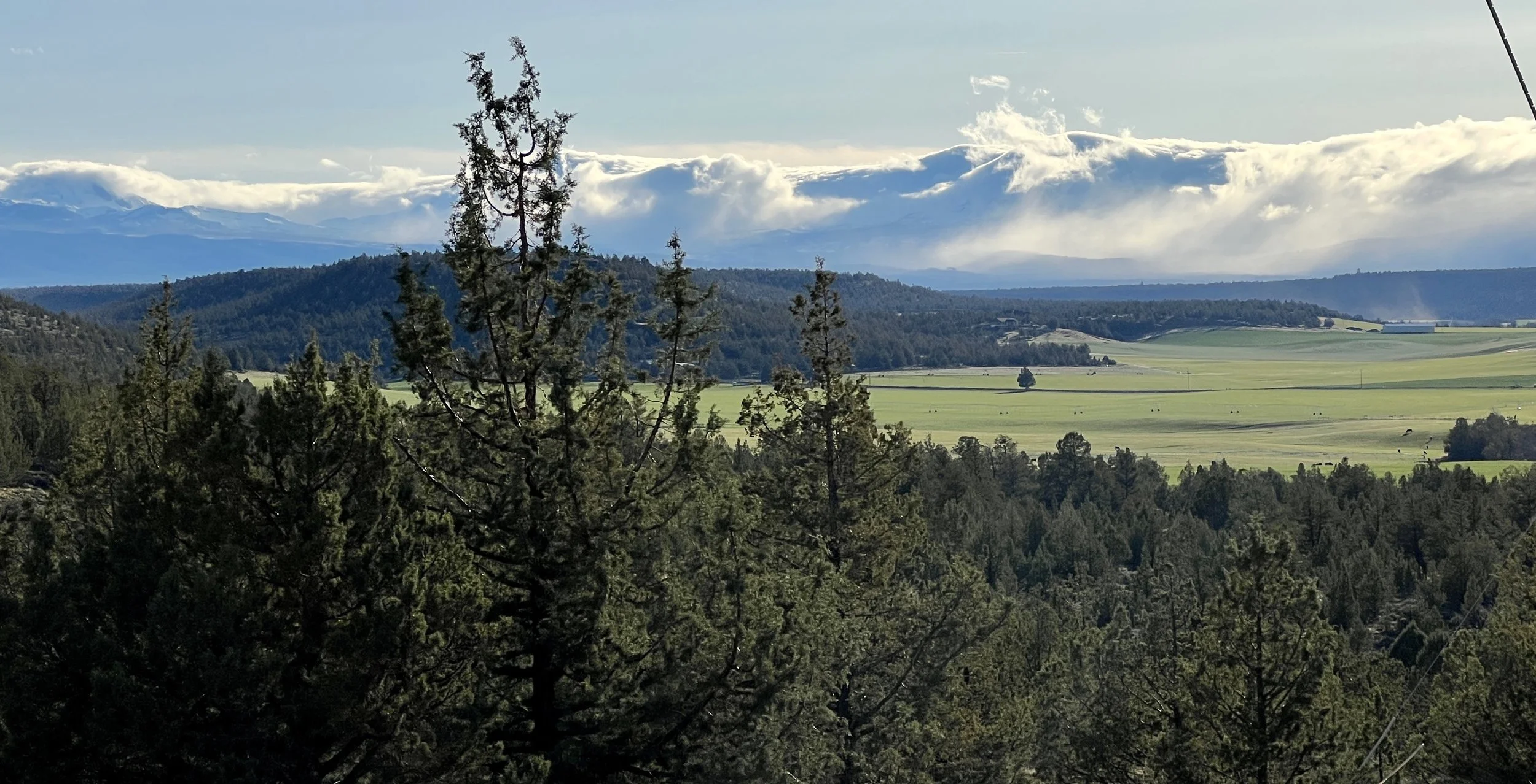 710 acres of agricultural land saved from sprawling development ...