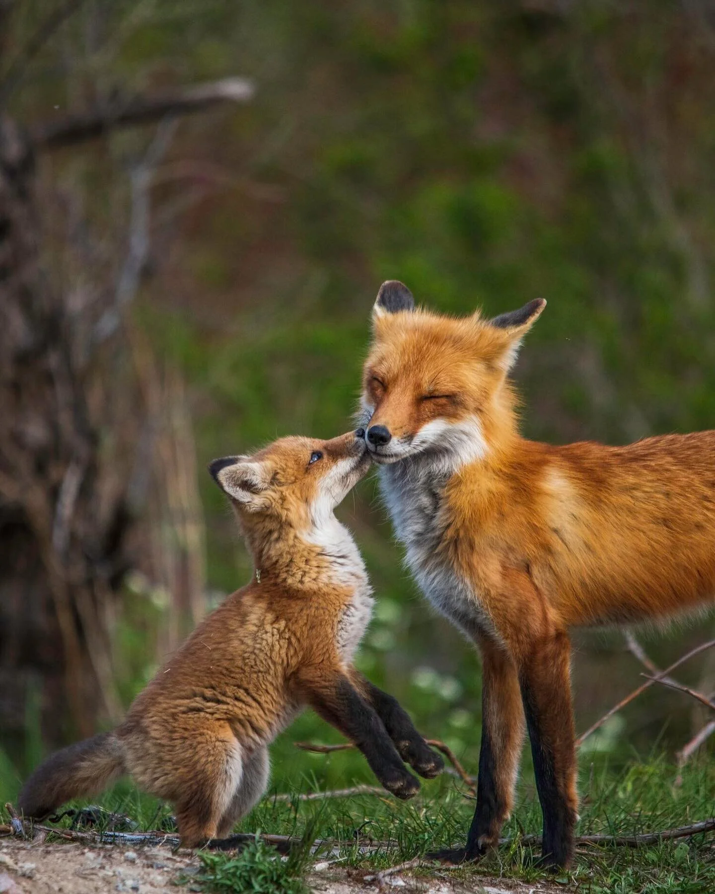 The Latest — Central Oregon LandWatch