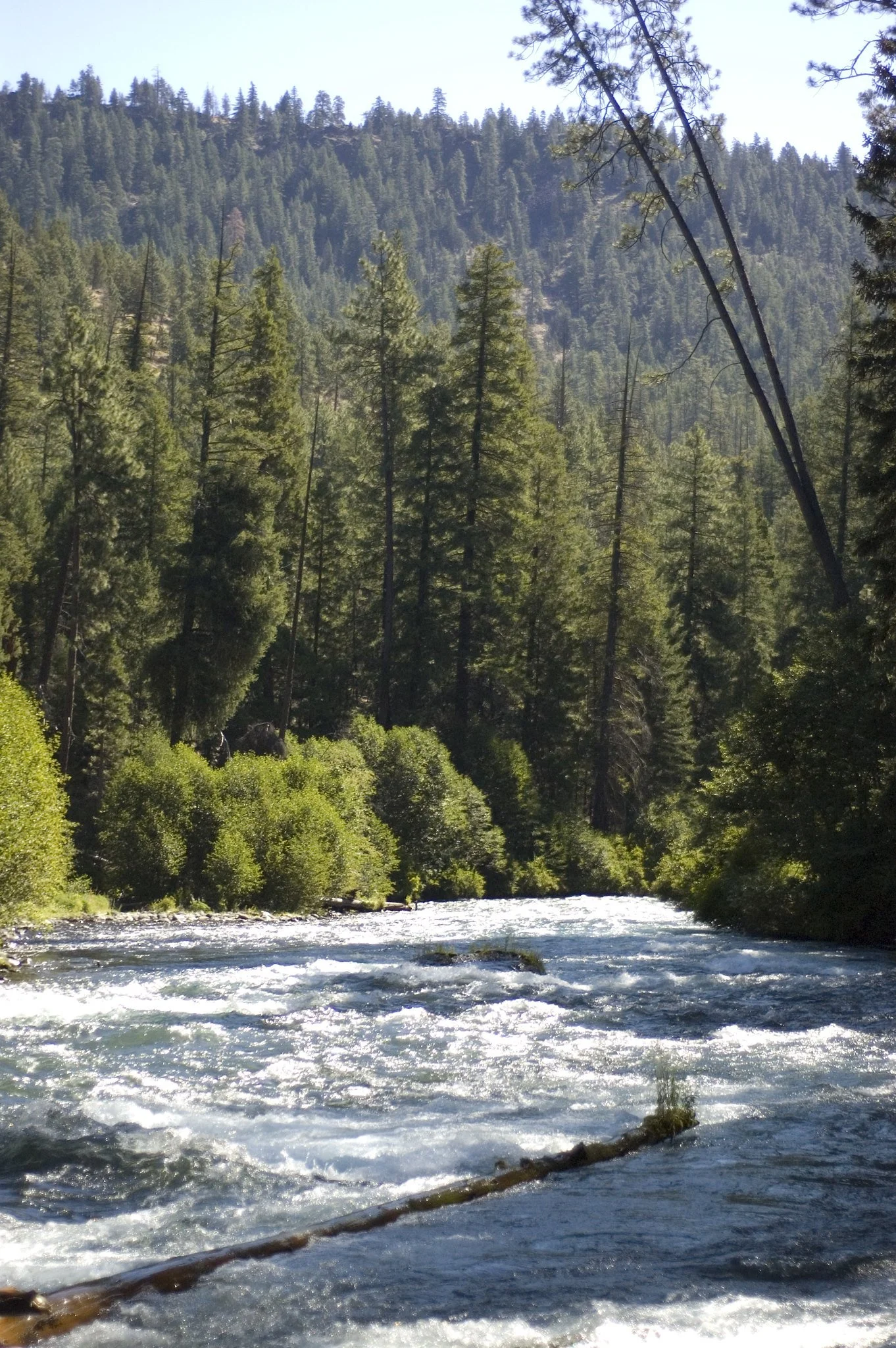 Defending the cold, clear water of the Metolius River Basin — Central ...