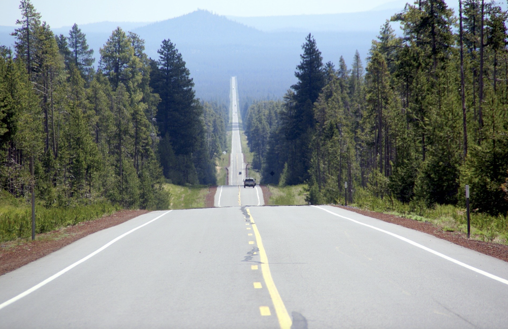 Wildlife Crossings | Join Wildlife Protection Initiatives — Central ...
