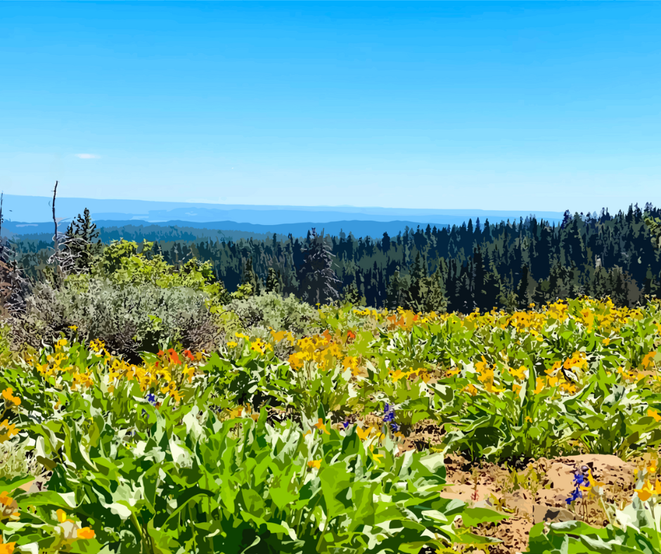 Donate — Central Oregon LandWatch