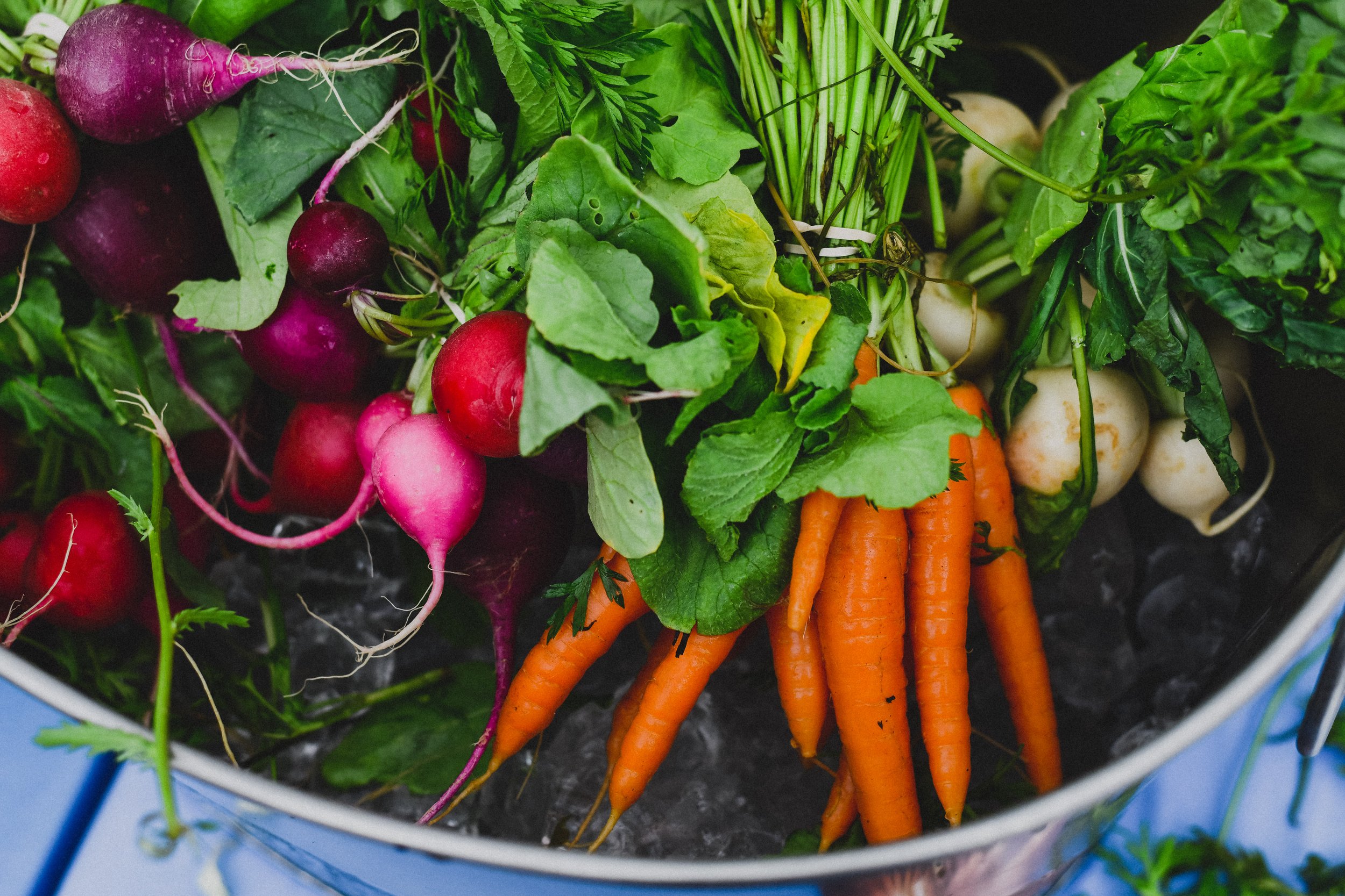 Eat Farm Fresh All Winter — Central Oregon LandWatch