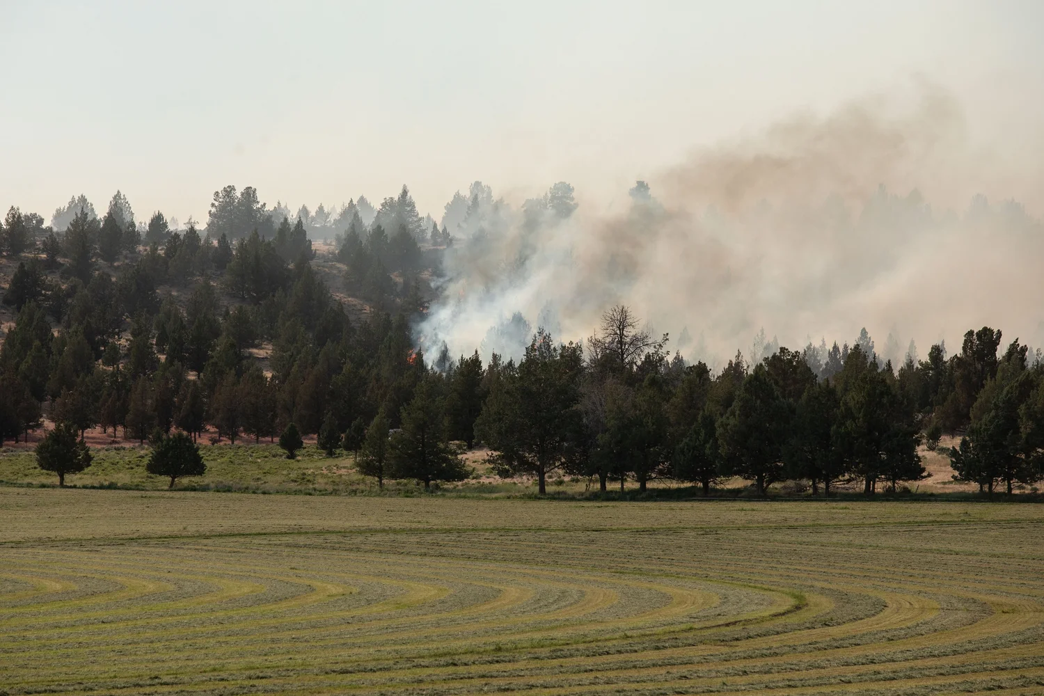 Planning for a fire-resilient future — Central Oregon LandWatch