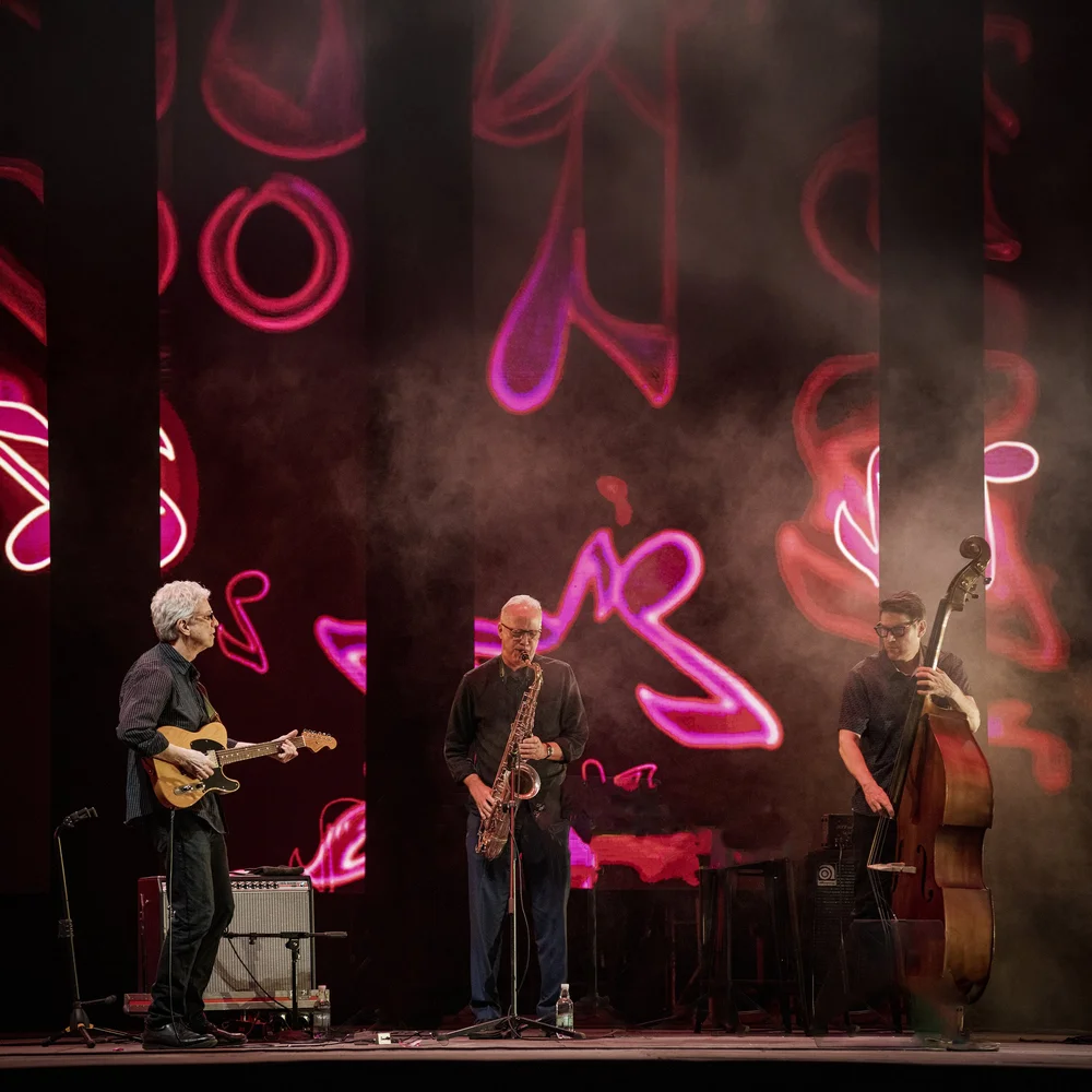 Allison, Cardenas & Nash — BEN ALLISON | Bassist • Composer • Producer ...