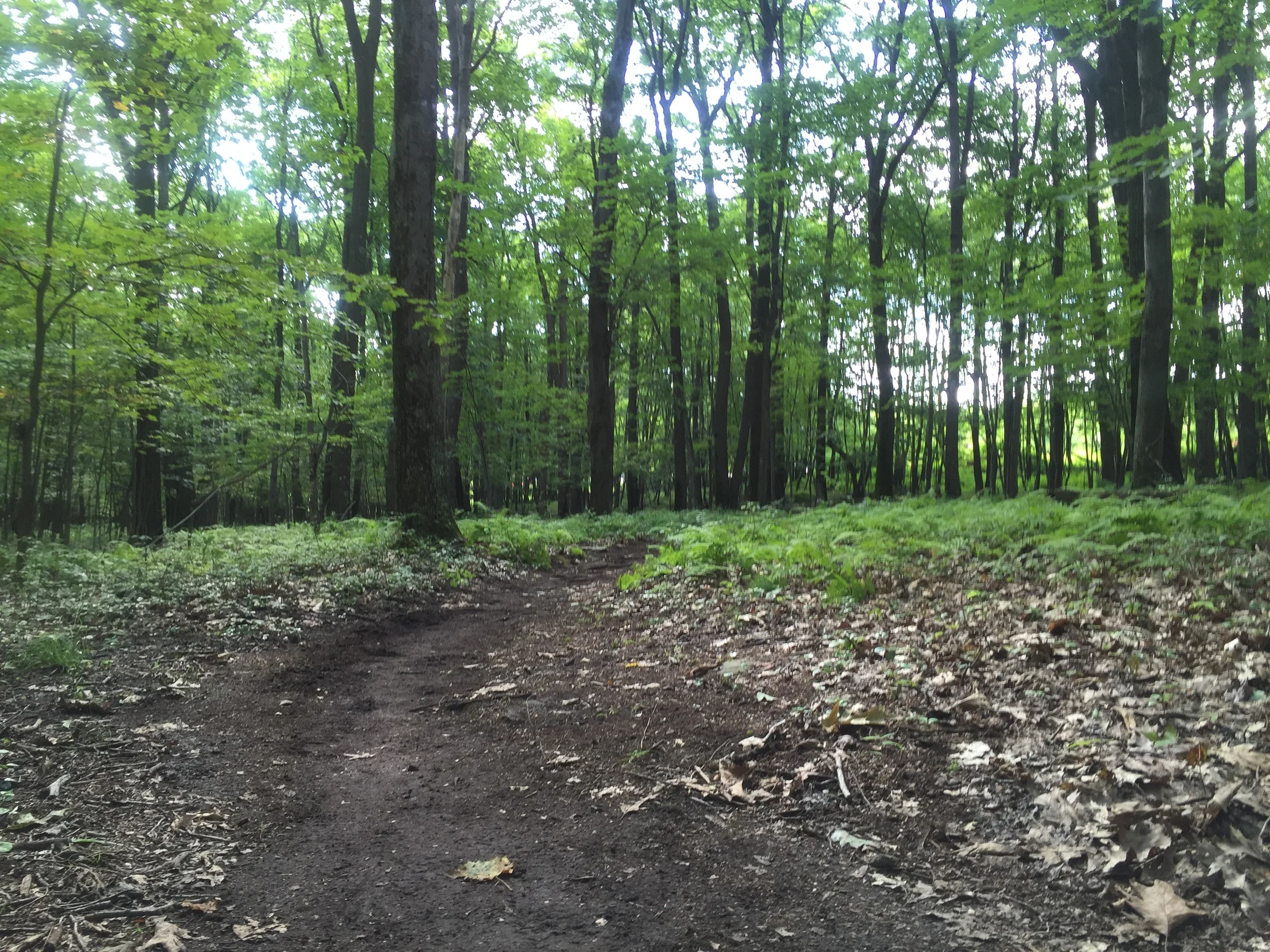 Ragnar Trail Appalachians Relay Report — Mountain Ridge Physical Therapy