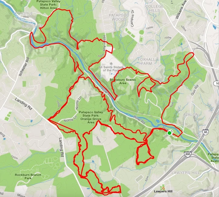 Patapsco Valley 50K Race Report — Mountain Ridge Physical Therapy
