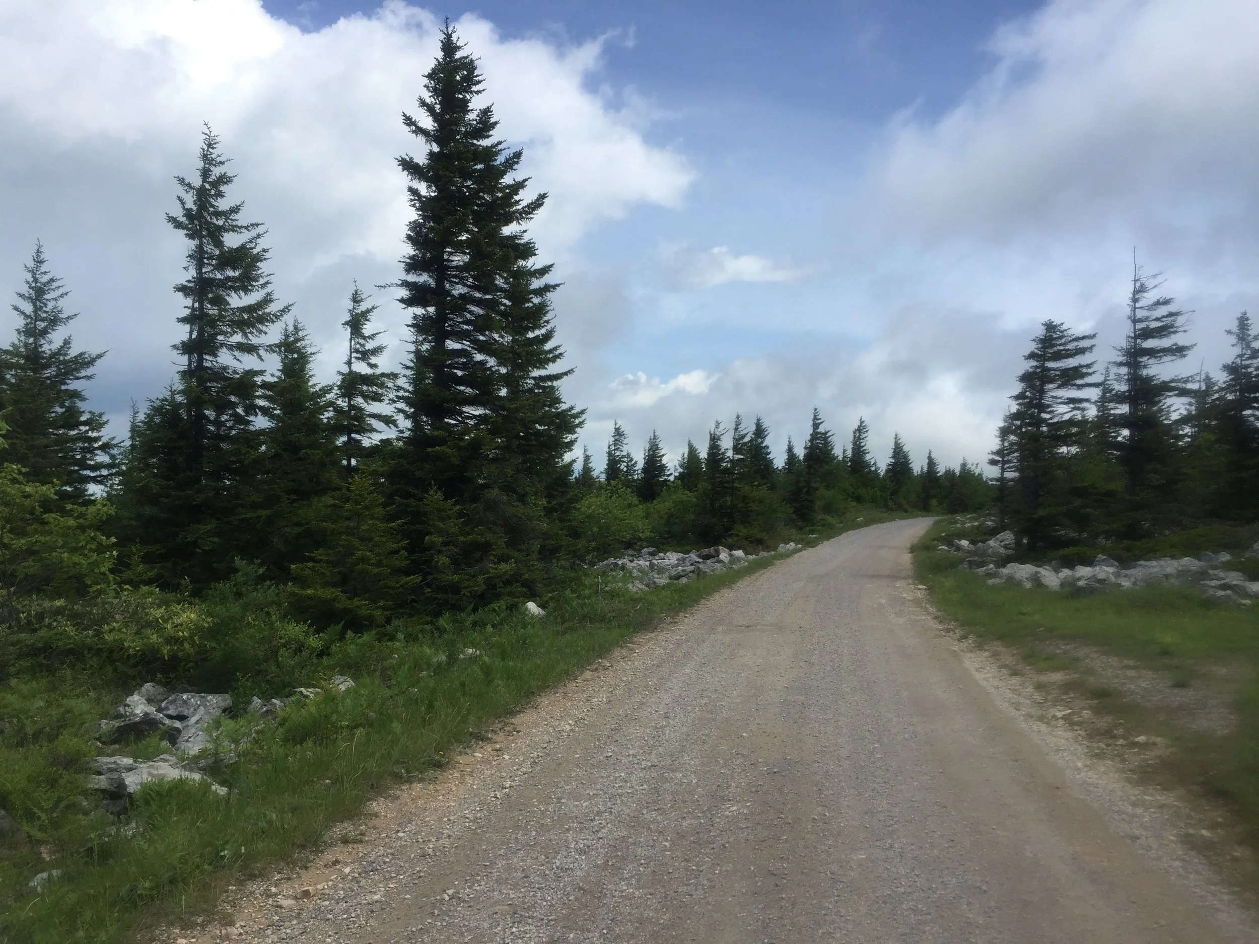 Highlands Sky 40 Mile Trail Race Report — Mountain Ridge Physical Therapy