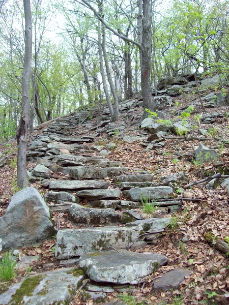 Lost Turkey Trail Marathon Race Report: Lunging to Victory — Mountain ...