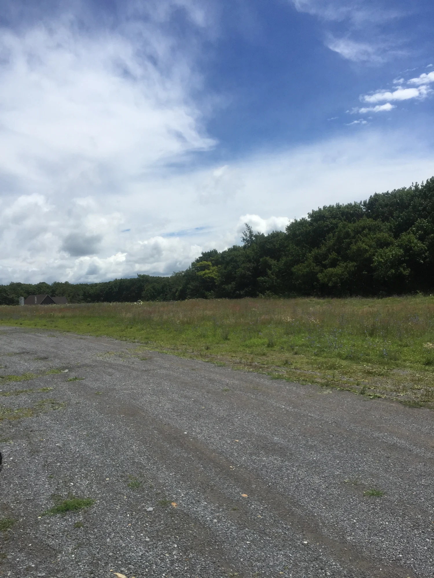 Lost Turkey Trail Marathon Race Report: Lunging to Victory — Mountain ...