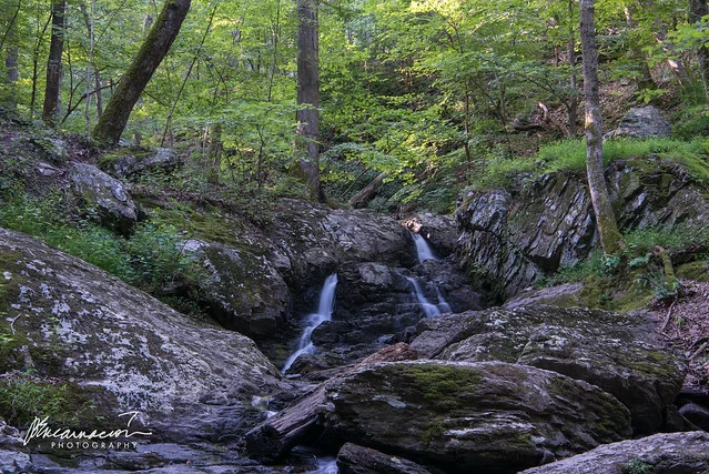 Miner's Lady 8-Hour Endurance Run Race Report — Mountain Ridge Physical ...
