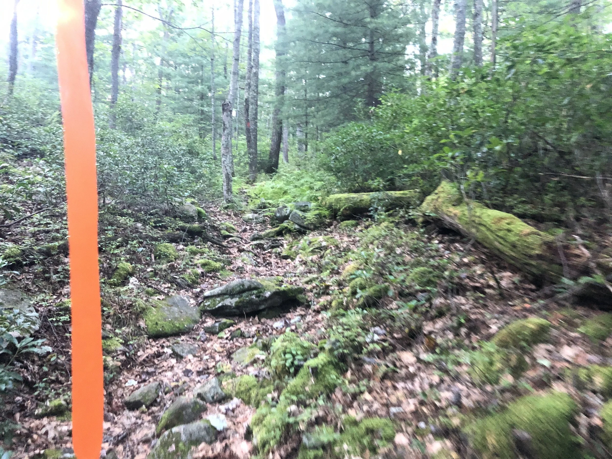 Eastern States 100 Race Report — Mountain Ridge Physical Therapy