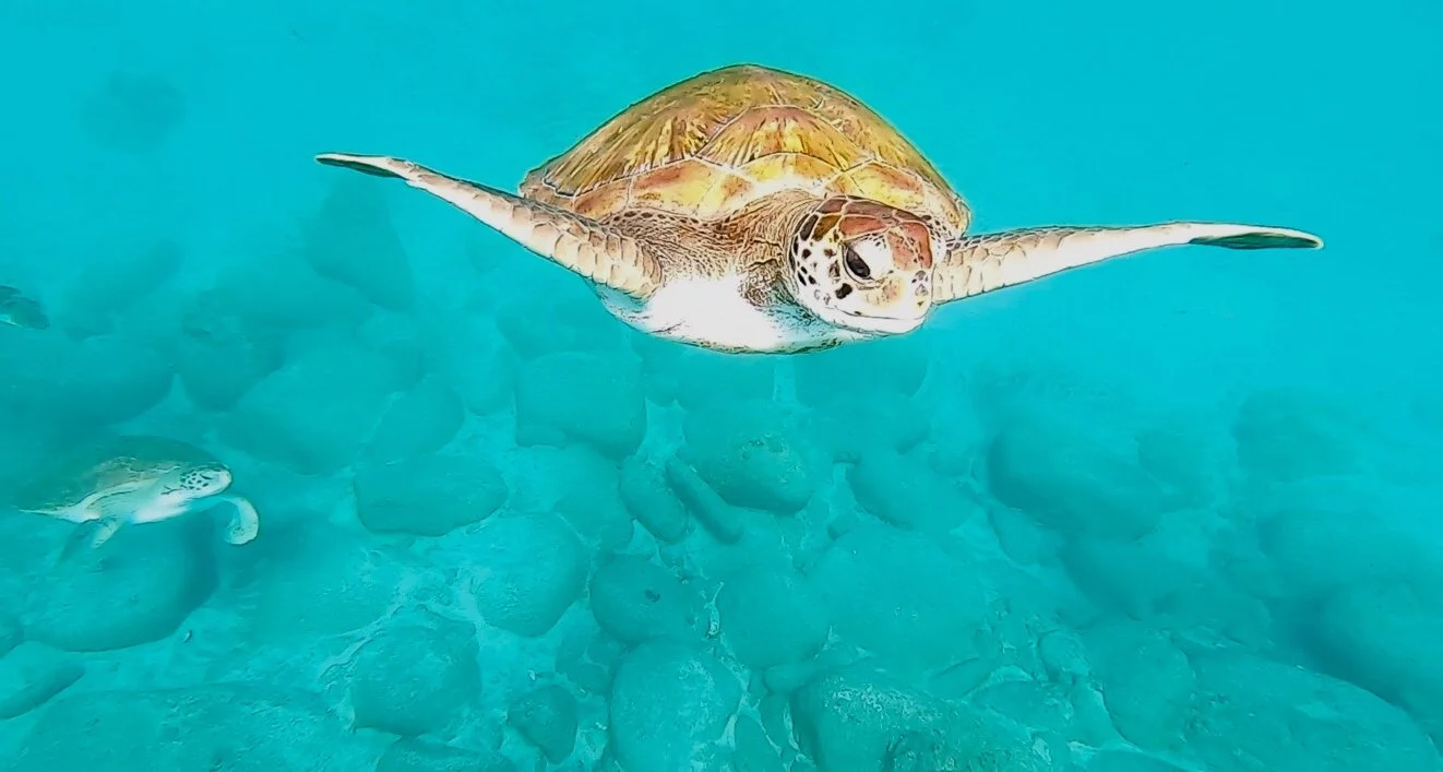 10 Reasons to Travel to Cape Verde, Africa - One of the World's Best ...