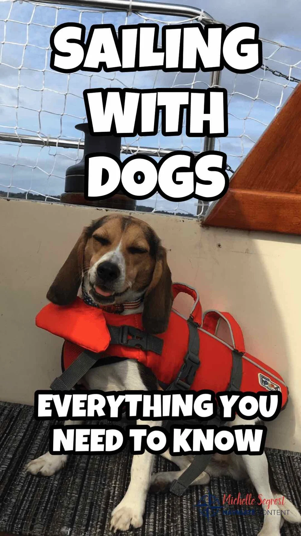 How to Sail with Dogs - Pets on Board — Navigate Content