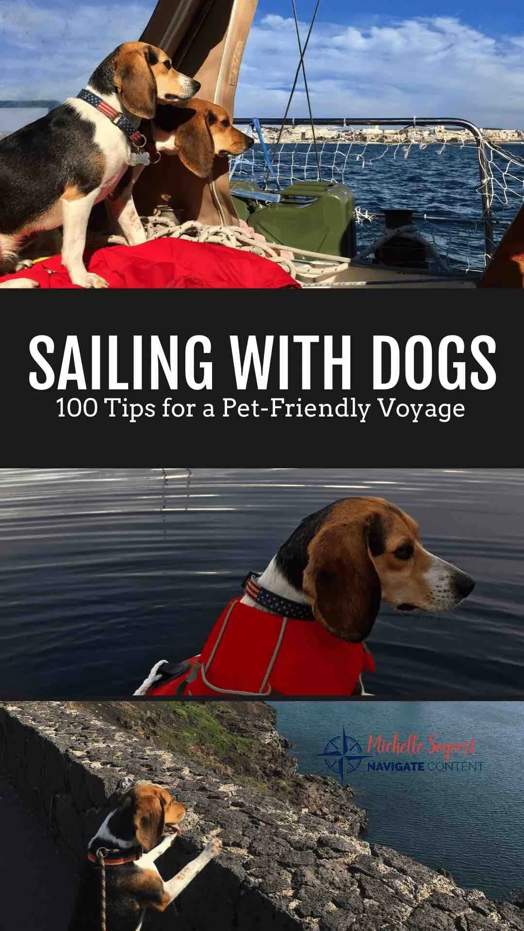 Sailing with Dogs - Top 10 Tips — Navigate Content