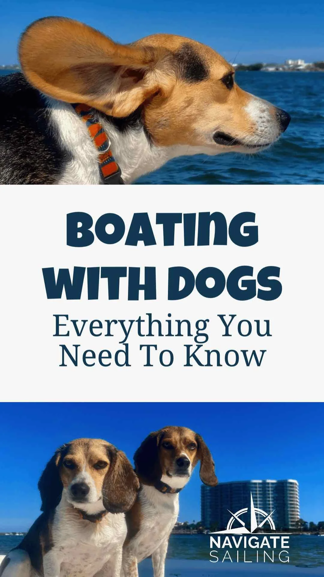 Sailing with Dogs - Everything You Need to Know — Navigate Content