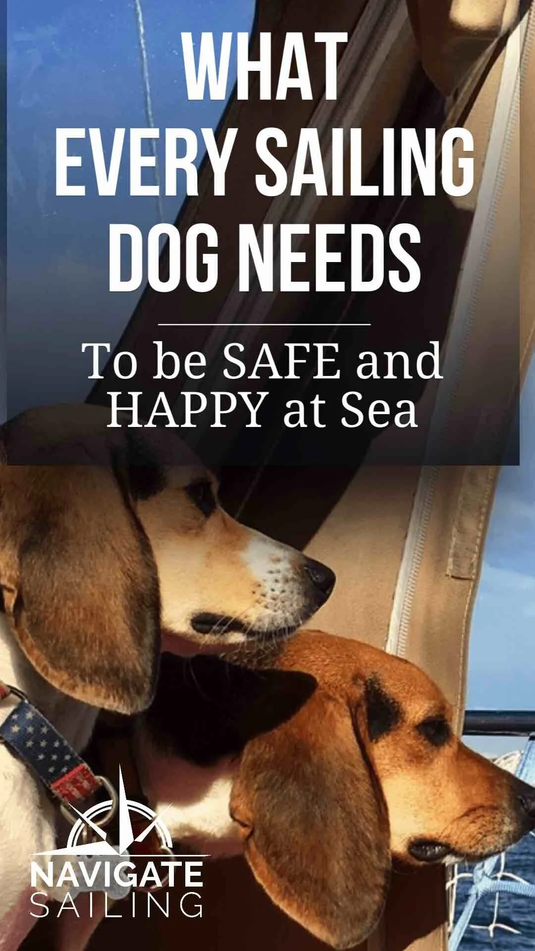 Essential Items Every Boat Dog Needs | Sailing with Dogs — Navigate Content