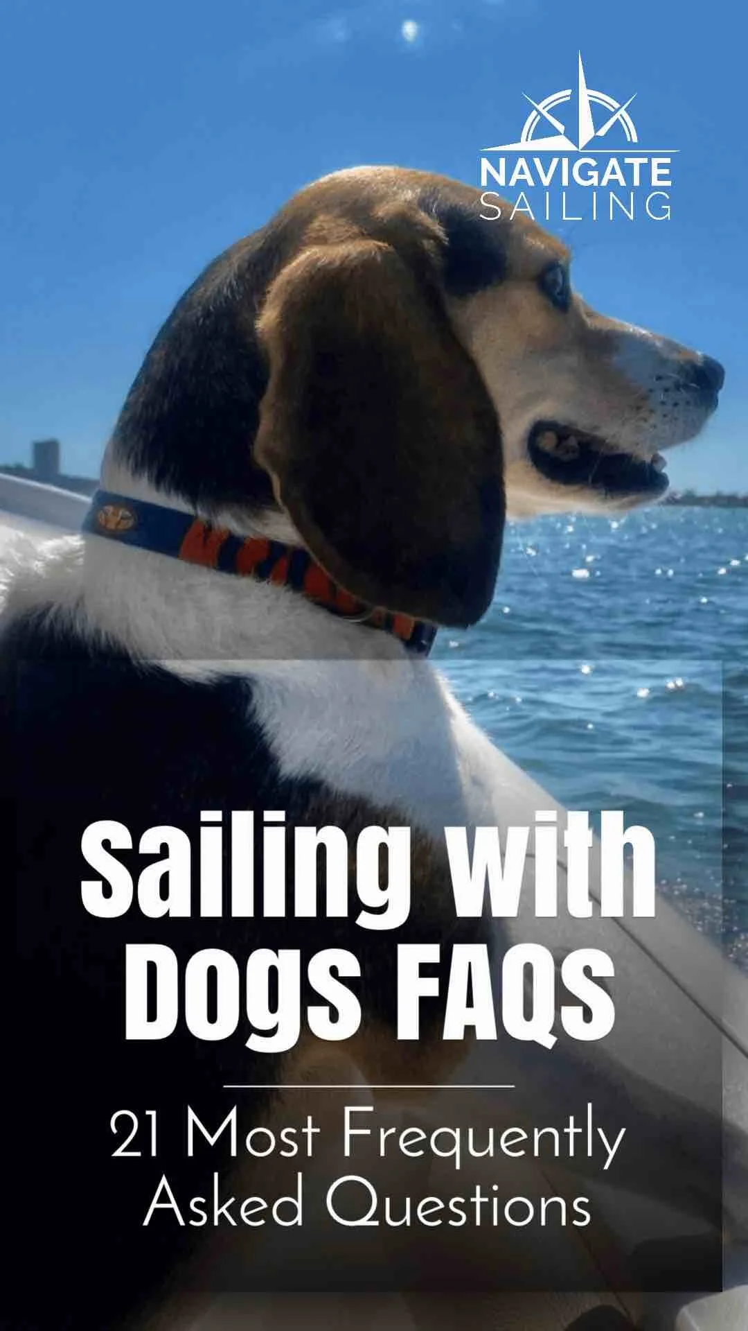 Sailing with Dogs FAQs - Everything You Need to Know — Navigate Content