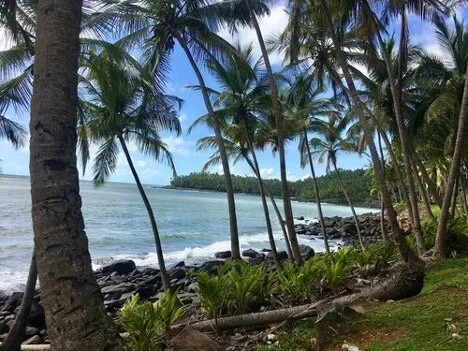 20 Fascinating Facts About Devil's Island - The Alcatraz of the ...